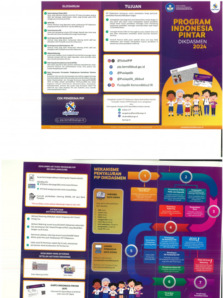 Flyer Pip 2024 | PDF