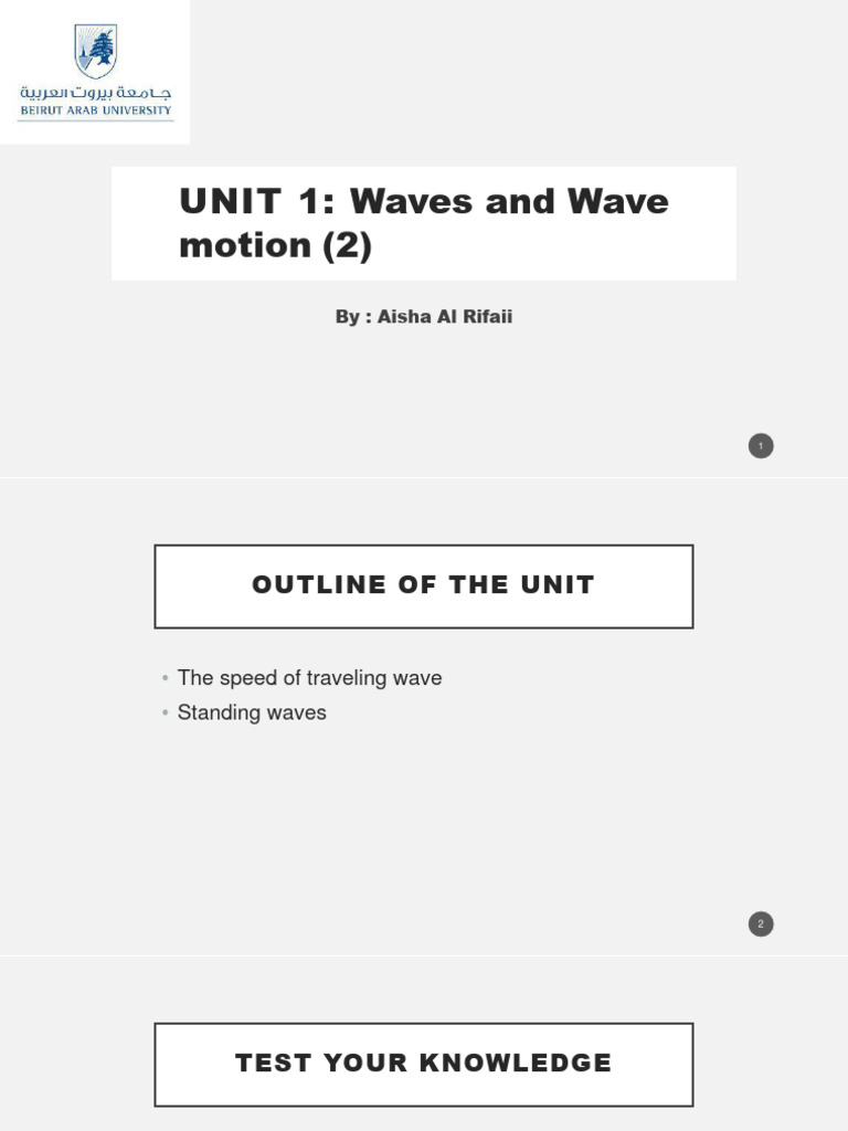 1 - Introduction of Physics Lecture 2 | PDF | Waves | Frequency