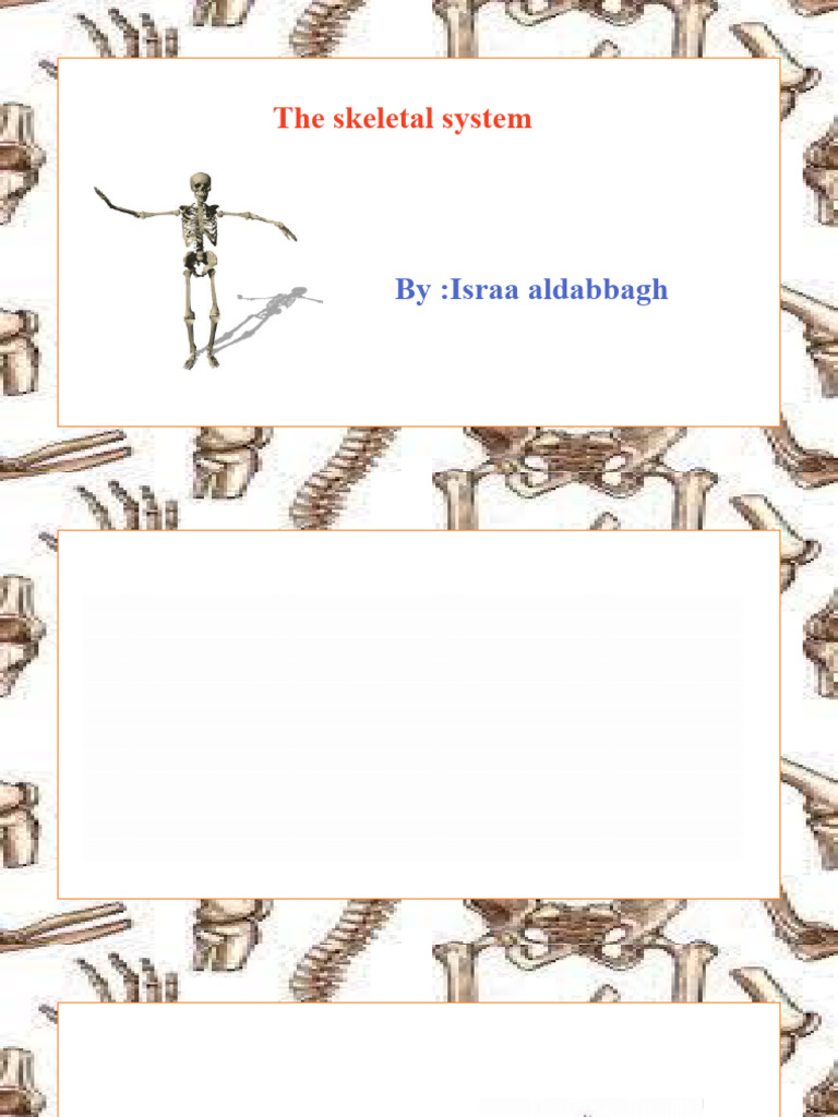 Skeletal System Chapter 2 | PDF | Vertebral Column | Vertebra