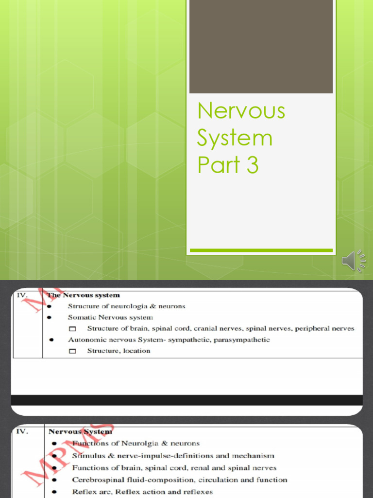 Nervous System Part 3 | PDF | Stimulus (Physiology) | Autonomic Nervous ...