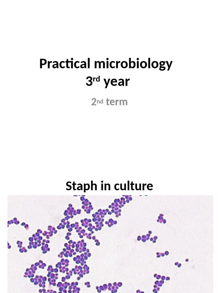 Microbiology Practical 2nd Term | PDF