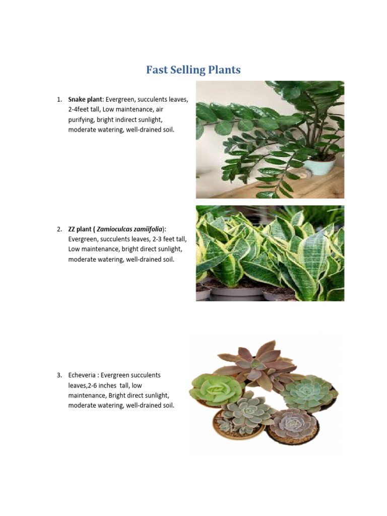 Fast Selling Plants list | Download Free PDF | Botany | Plants