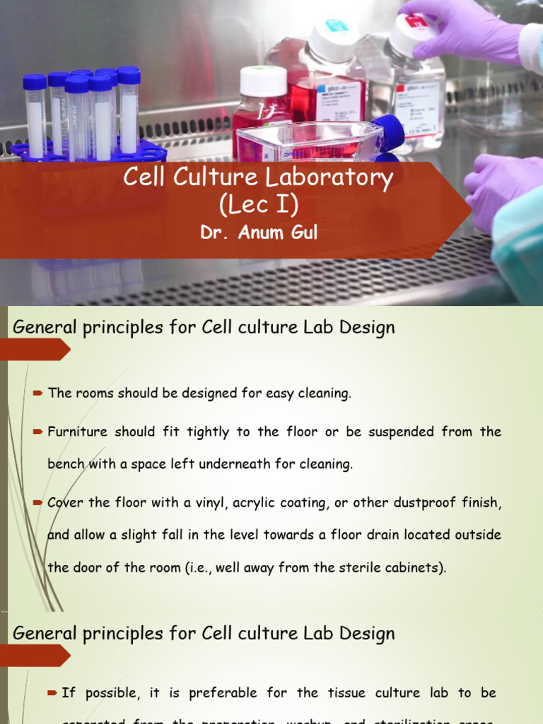 Cell Culture Laboratory | PDF