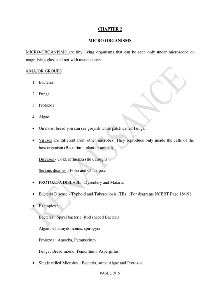 Micro Organism | PDF | Microorganism | Bacteria