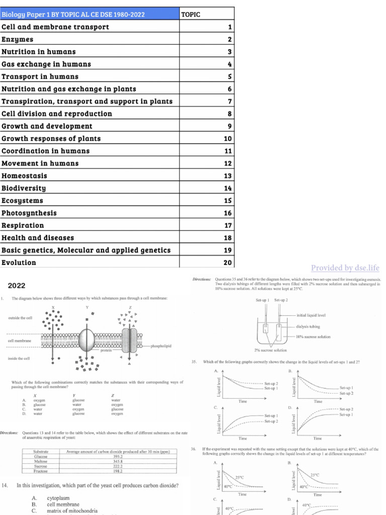 Bio PP | PDF | Leaf | Stoma