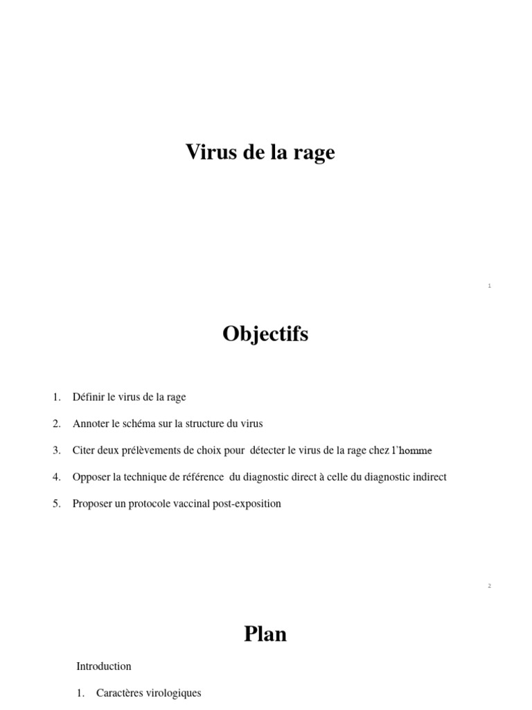 Comprendre le virus de la rage | PDF | Rage (maladie) | Virus