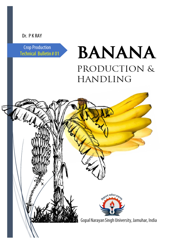 Banana Production and Handling by DR P K RAY | PDF | Banana | Plants