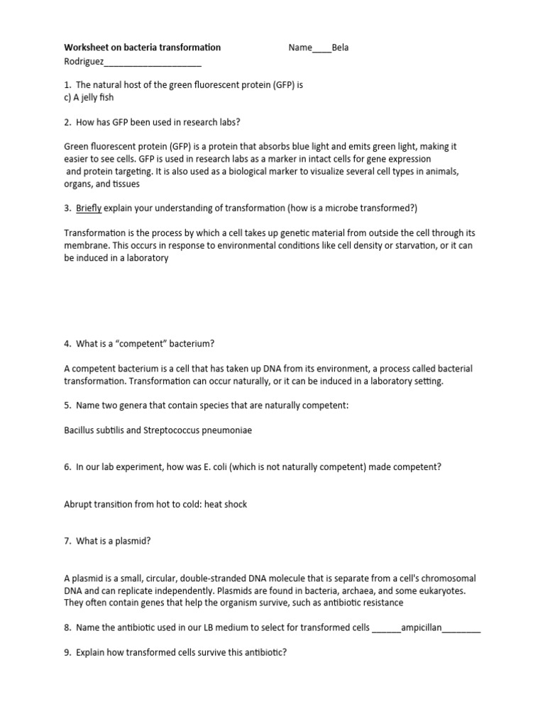Bacteria Transformation Worksheet II | PDF