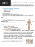 Overview of the Circulatory System | PDF | Blood Vessel | Heart