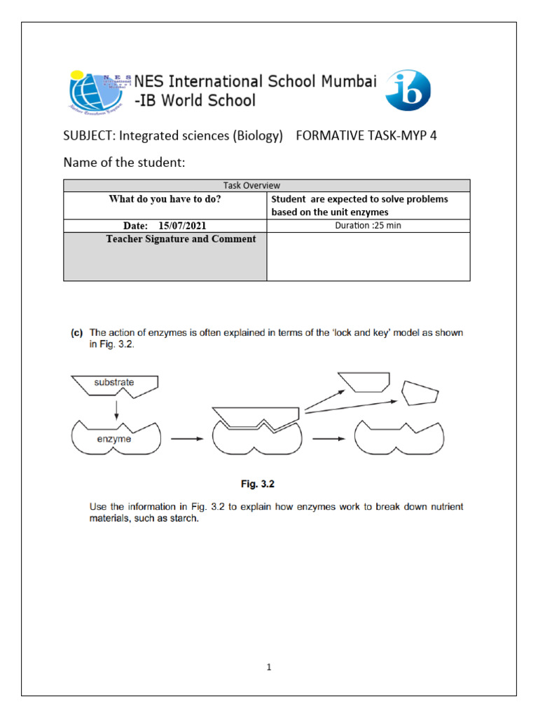 MYP 4 Formative Assessment Enzymes | PDF
