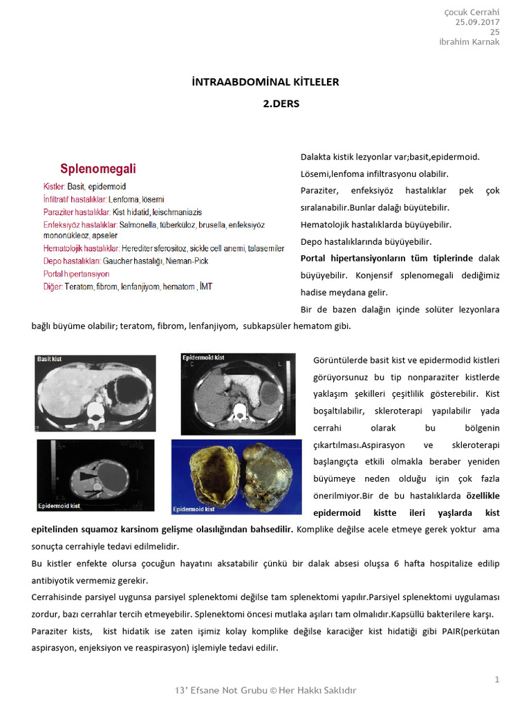 09.25 Intraabdominal Kitleler 2.ders PDF | PDF