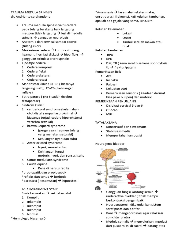 Trauma Medula Spinalis | PDF