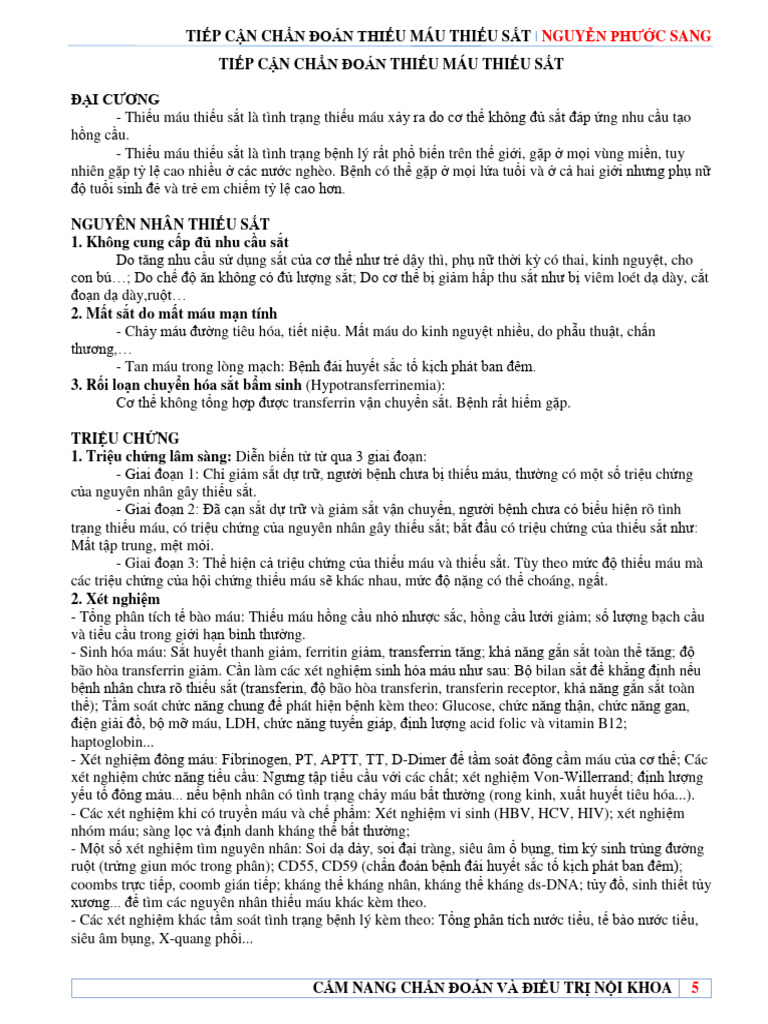 Thieu Mau Thieu Sat | PDF