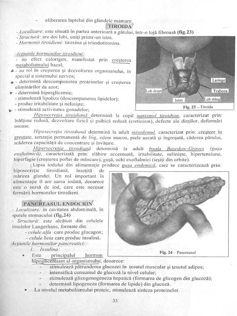 Glande Endocrine | PDF