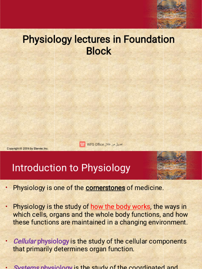Functional Organization of The Human Body - Introduction | PDF | Muscle ...
