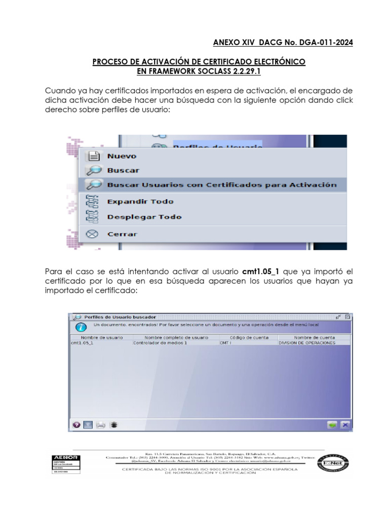 ANEXO XIV DACG No. DGA 011 2024 | PDF | Informática