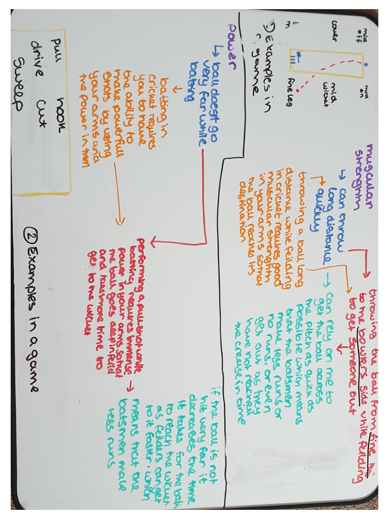 Coursework Pe Gcse Cricket | PDF