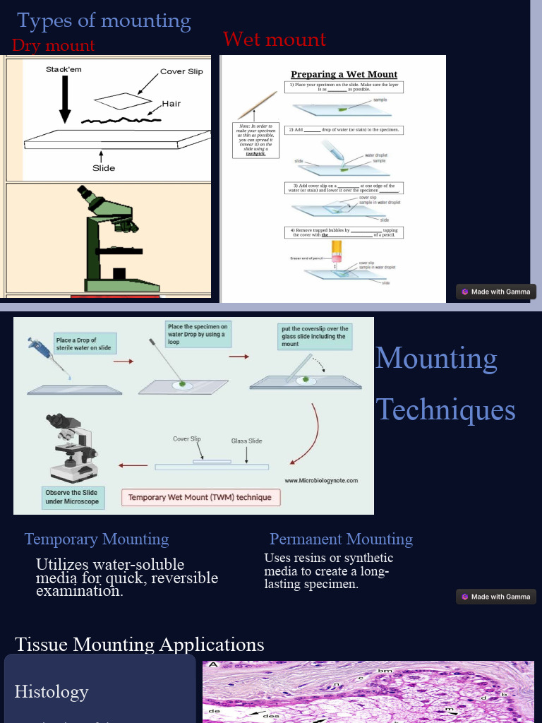 Churi PresentationTissue Mounting | PDF | Science & Mathematics | Computers