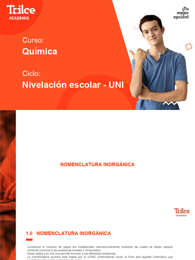 NOMENCLATURA INORGÁNICA - PPT | Descargar gratis PDF | Compuestos químicos | Sal (química)