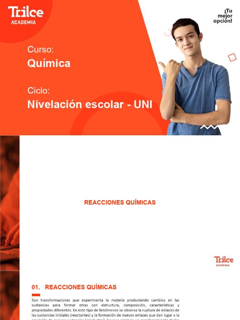 Reacciones Químicas | PDF | Redox | Reacciones químicas