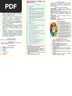 13 Directrices Cero Tolerancia | PDF