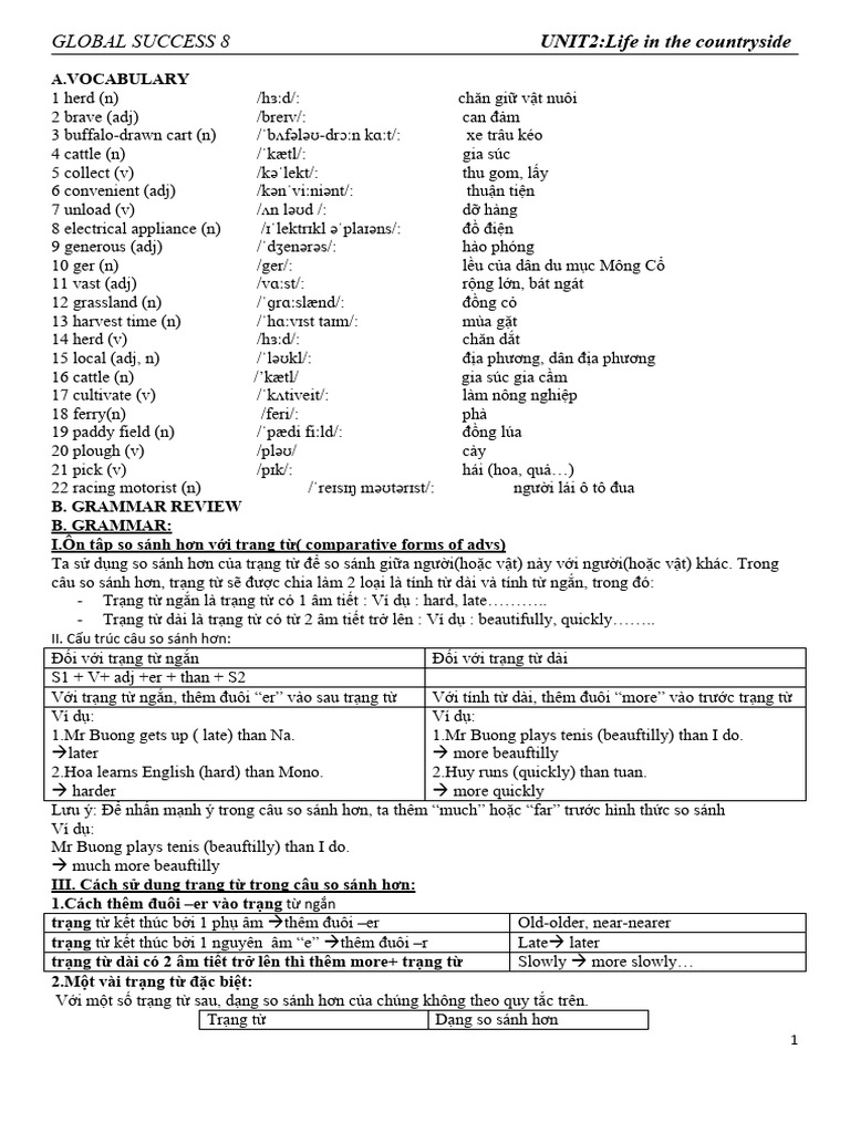 Bài tập bổ trợ anh 8 Global UNIT 2 (TV + NP) | PDF