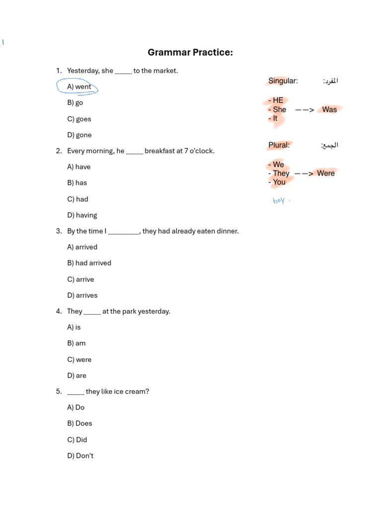 Grammar Practice | PDF