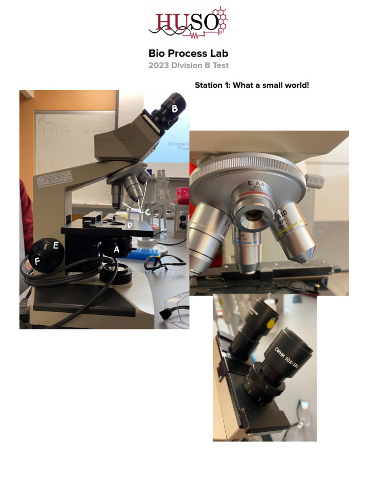 2023 Div B Bio Process Lab Test | PDF | Ph | Microscope