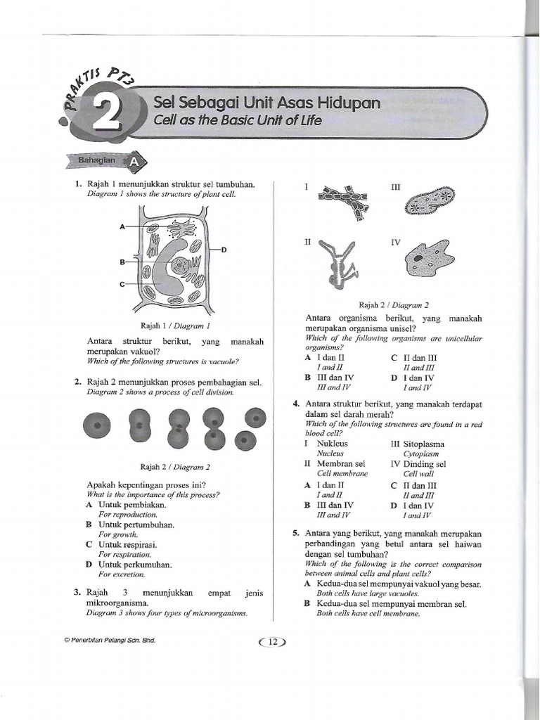 Chapter 2 Practice 3 | PDF