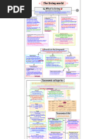 Mind Map of Diversity in Living World | PDF | Taxonomy (Biology ...