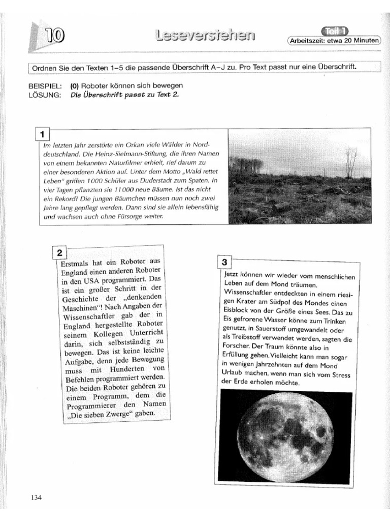 B1 lesen model 10 | PDF