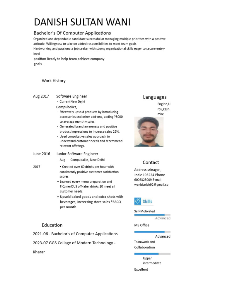 Resume Danish Wani | PDF | Business | Computing