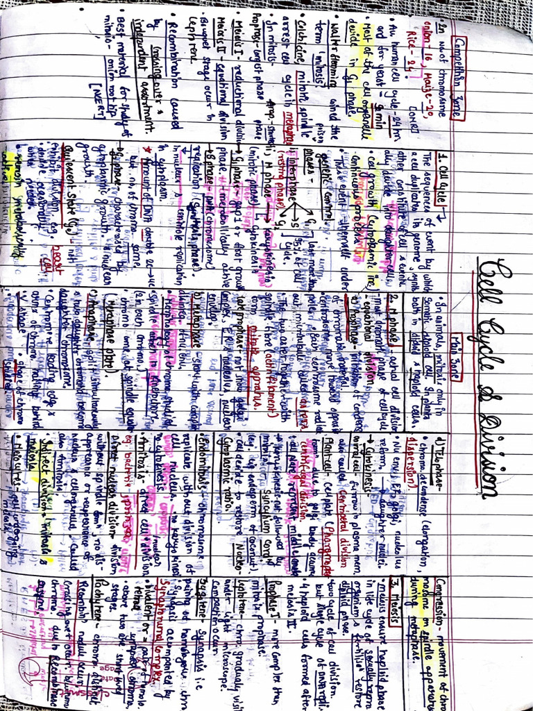 CELL CYCLE AND DIVISION BIO SHORT NOTESjjjj | PDF