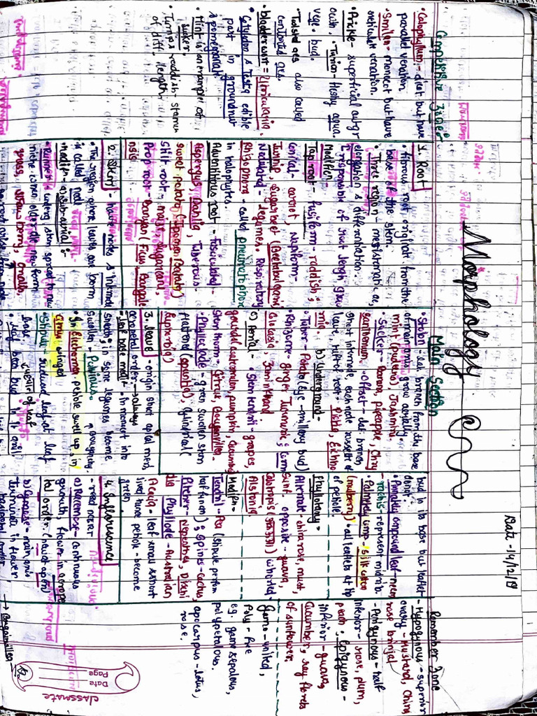 Morphology of Flowering Plant Bio Short Notes | PDF