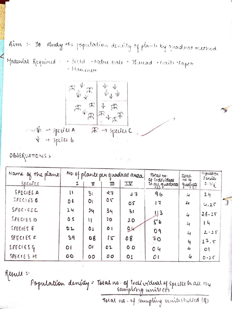 Experiment 04 Plant Density | PDF
