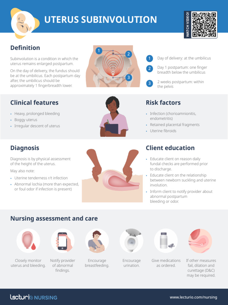 Nursing Cs Uterus Subinvolution 01 Pdf Postpartum Period Uterus