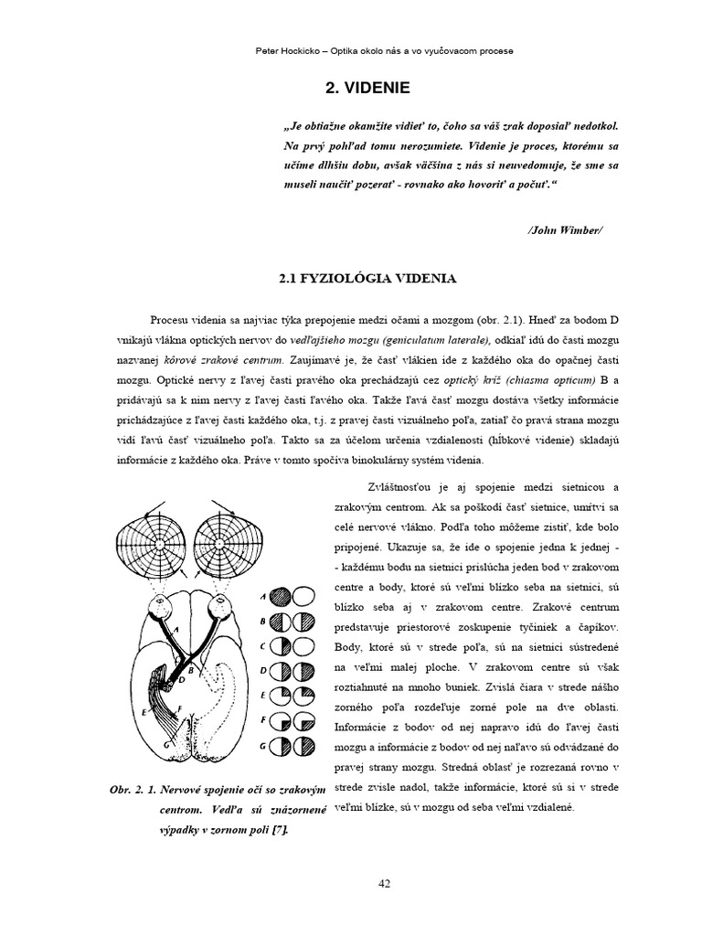 Videnie | PDF