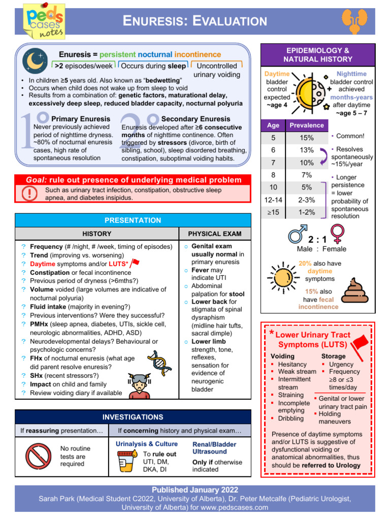 Enuresis Evaluation High Yield Notes | PDF | Urinary Incontinence ...