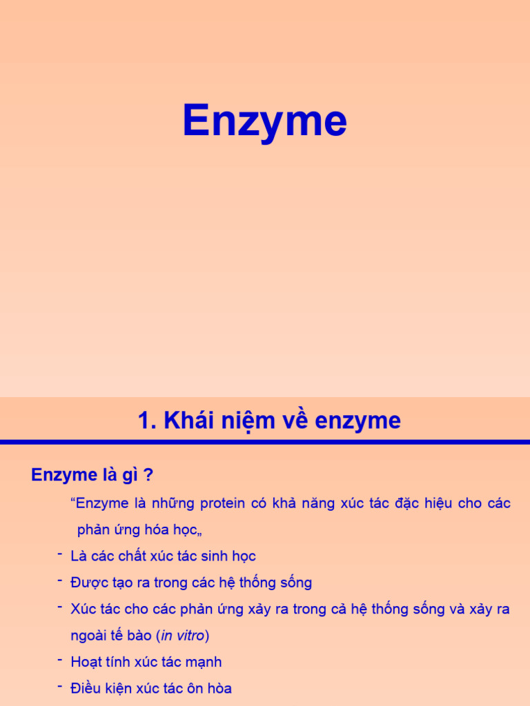 02 - Biochemistry Lecture - Enzyme | PDF