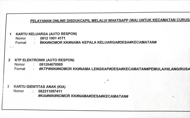 Surat Dukcapil | PDF