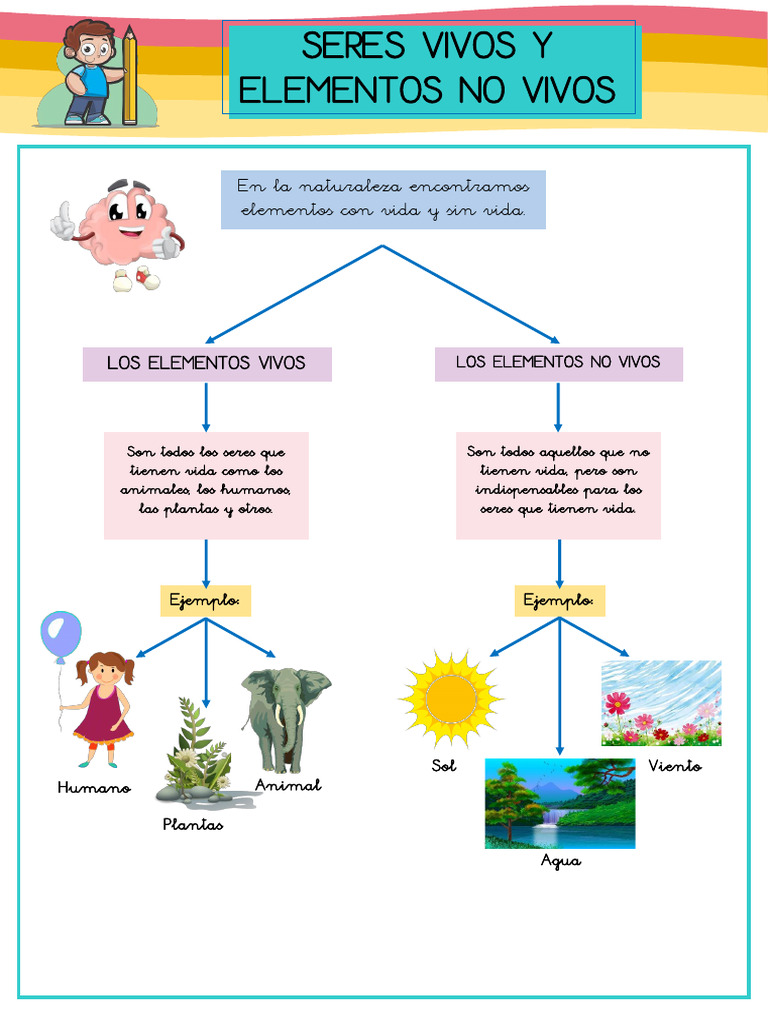 Seres Vivos y Elementos Vivos - 240416 - 165621 | PDF