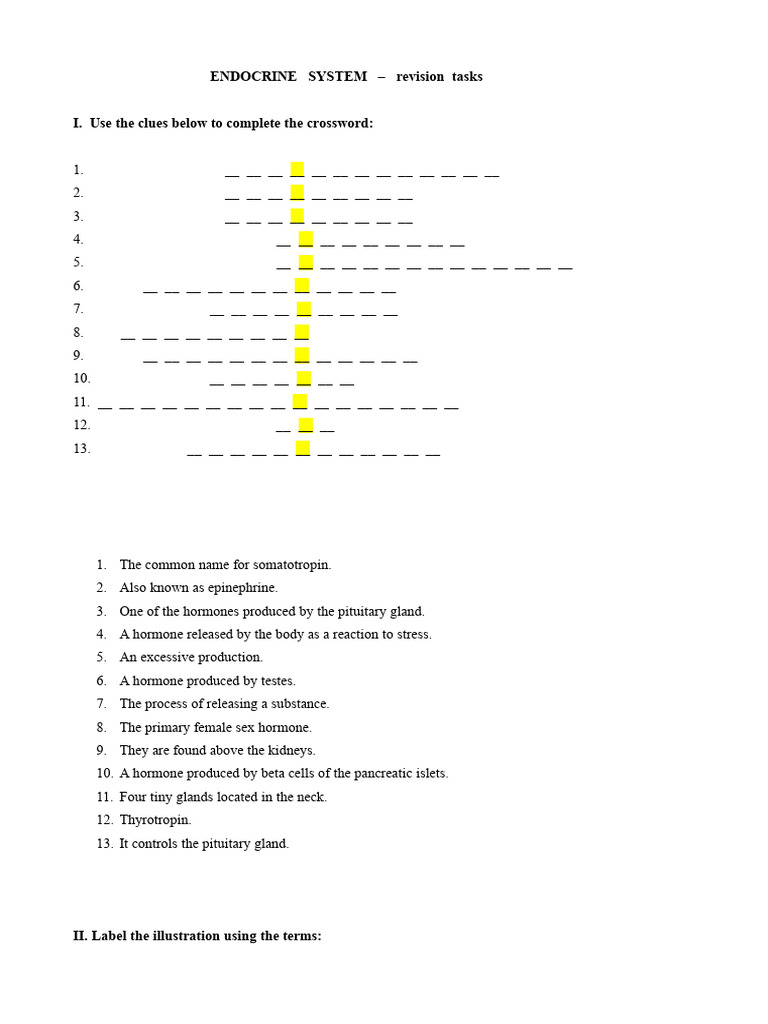 The Endocrine System - Revision | PDF | Endocrine System | Hormone