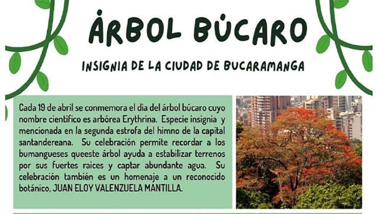 19 DE ABRIL ARBOL BUCARO | PDF