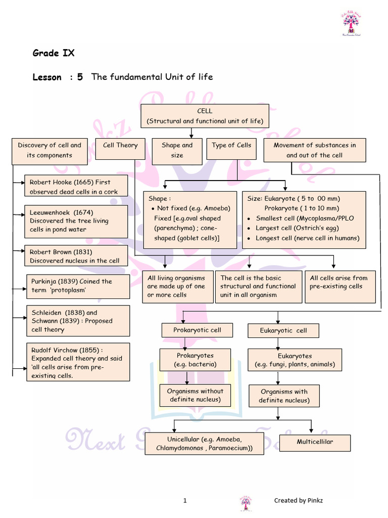 Lesson 5 The Fundamental Unit of Life NEW Questions | PDF | Cell ...