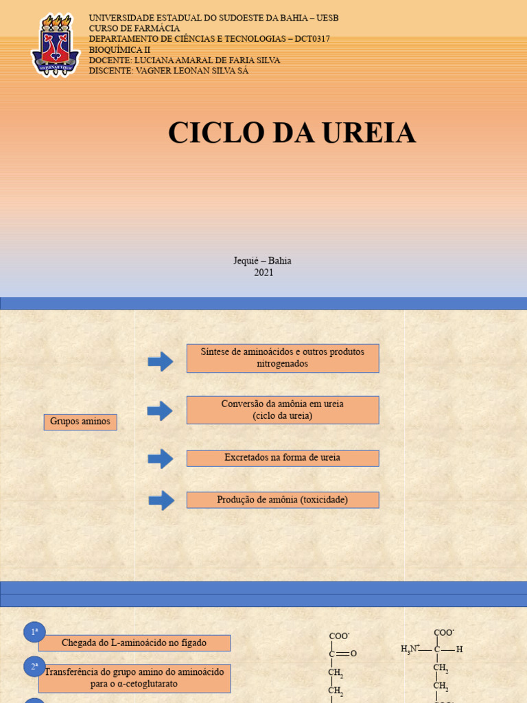 Ciclo Da Ureia | PDF | Metabolismo | Bioquímica