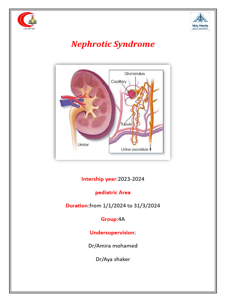 nephrotic | PDF | Kidney Disease | Edema