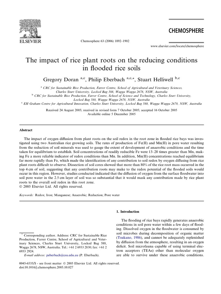 1. the impact of rice plant roots on the reducing conditions in flooded rice soils | PDF | Soil ...