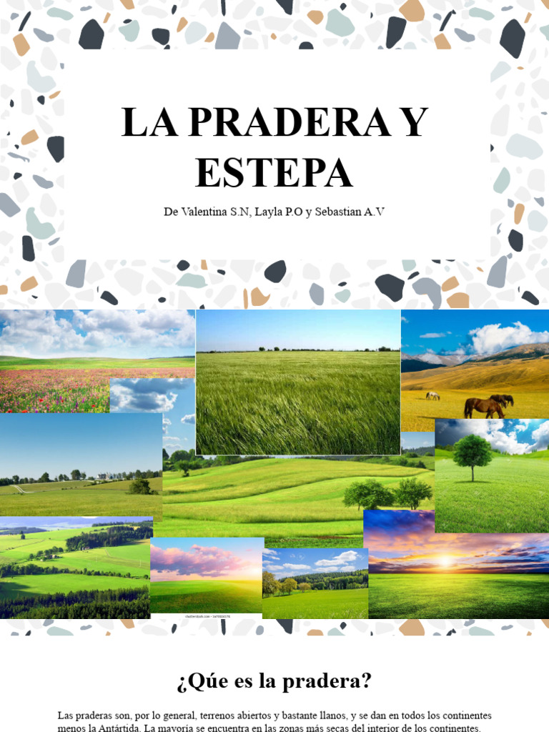 La Pradera y Estepa | PDF | Ciencias de la Tierra | Ecorregiones