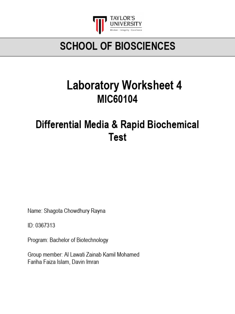 Bacteria Lab Worksheet Overview | PDF | Growth Medium | Bacteria