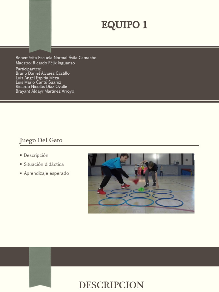 Juego Del Gato | PDF | Hogar, jardinería y bricolaje